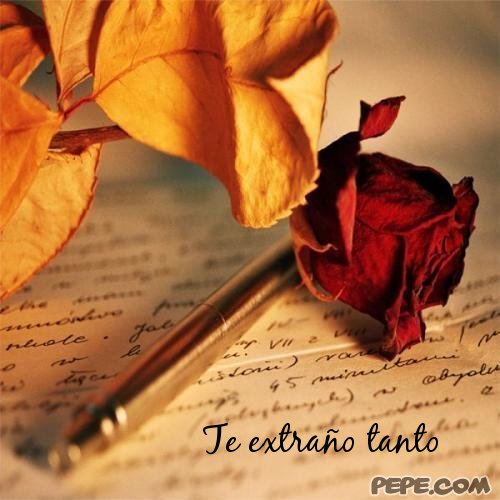 La vida plena en plena vida - Te extrano tanto - EL SALON EXCLUSIVO DE ...